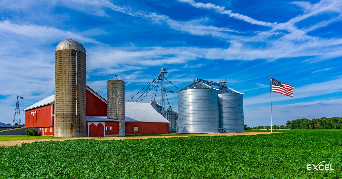 Midwestern Dialect: The Heart of Neutral American English