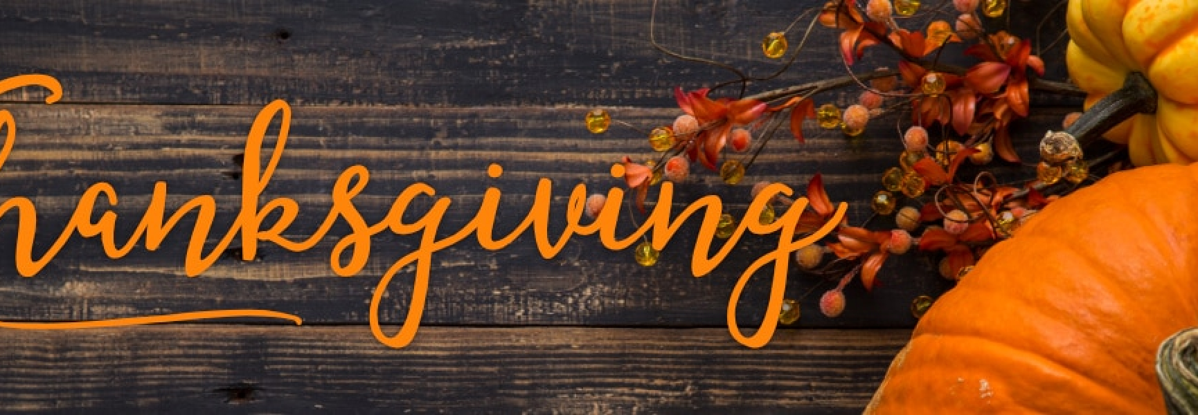 Thanksgiving | Excel English Institute
